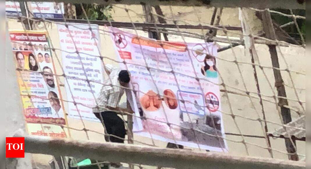 Pigeon Menace - Times of India