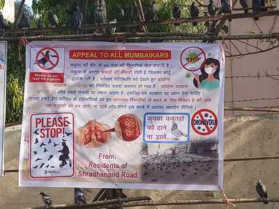 Pigeon Menace - Times of India