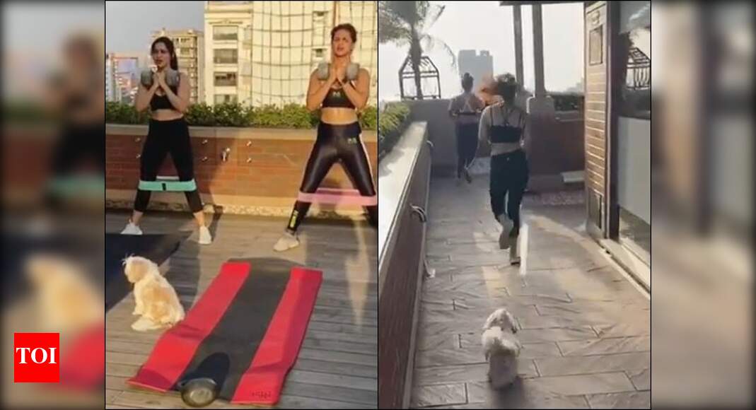 Neha Sharma and Aisha Sharma workout together during self-quarantine ...