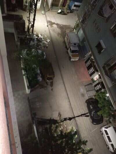 Removal of Garbage dumping point - Times of India