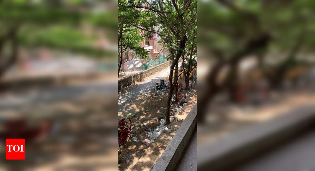 irresponsible citizens - The Times of India