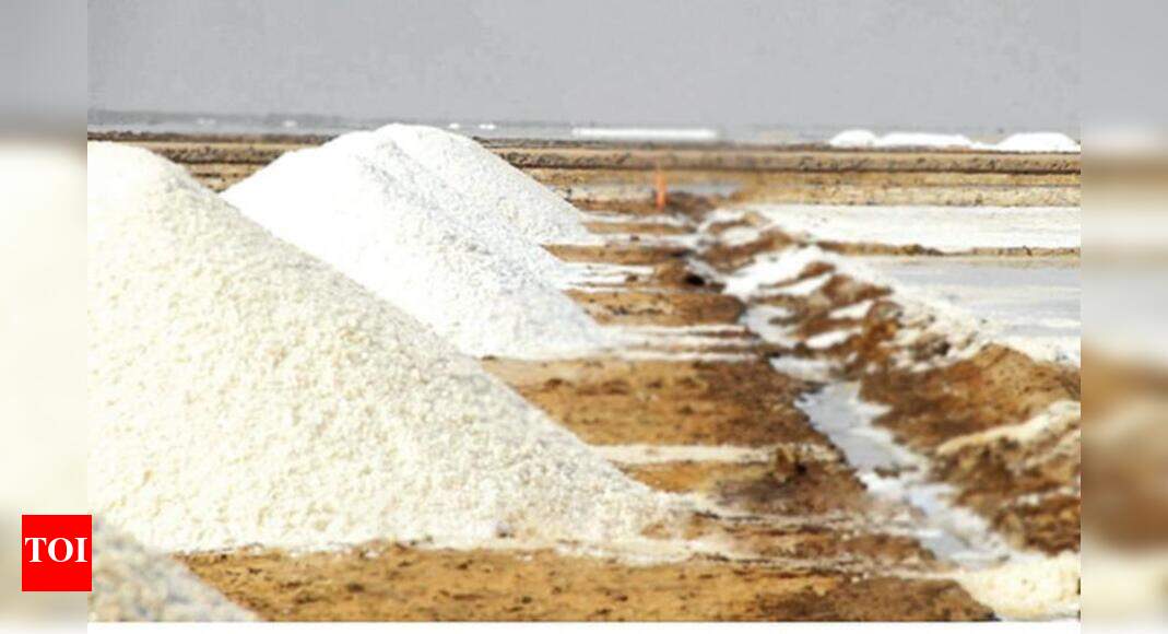 Salt-making comes to a halt in Kutch | Rajkot News - Times of India