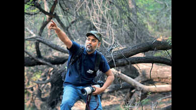 Wild-CER doesn’t leave them to meet a wild end | Nagpur News - Times of India