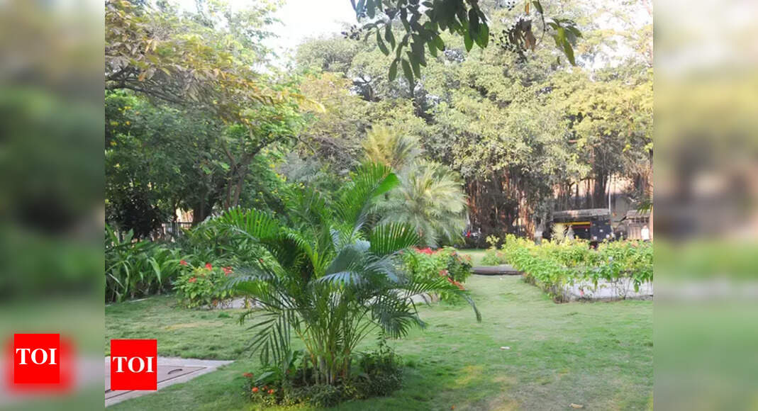 Shutters up at Goa horticulture kiosks on Monday | Goa News - Times of ...