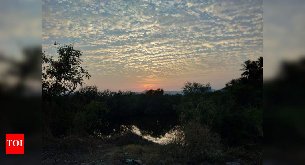 Beauty of Nature Sunset - Times of India