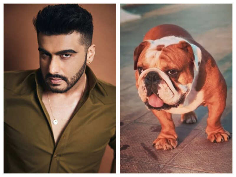 Arjun Kapoor shares a picture of his dog Maximus with a hilarious post ...