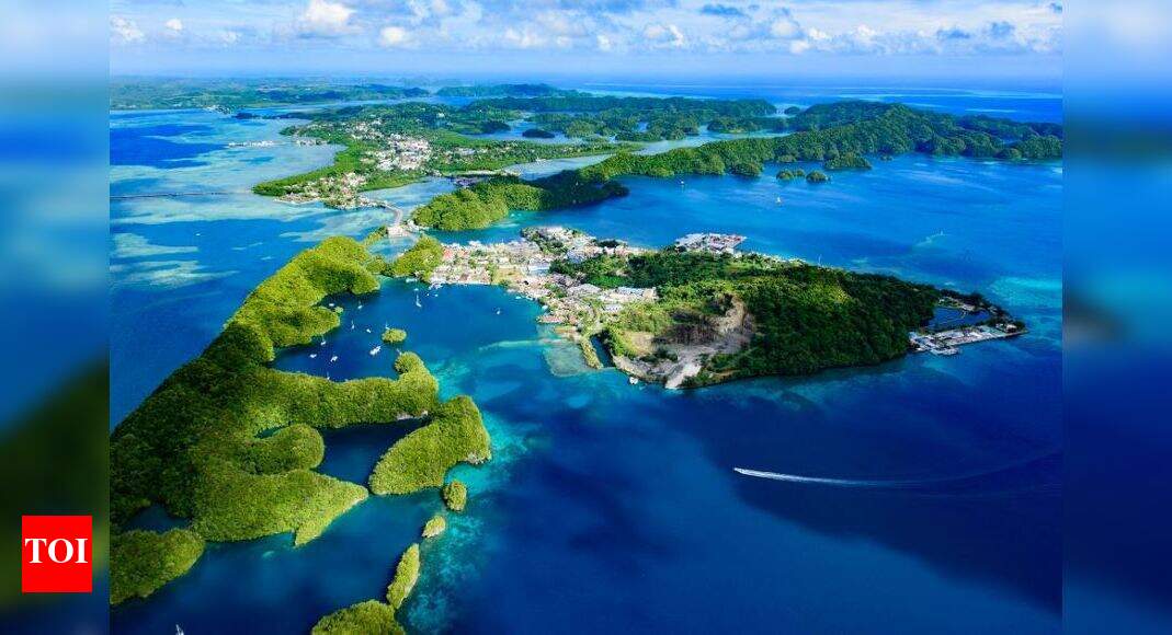 Koror Island: World's last virus-free corners hold tight | World News ...