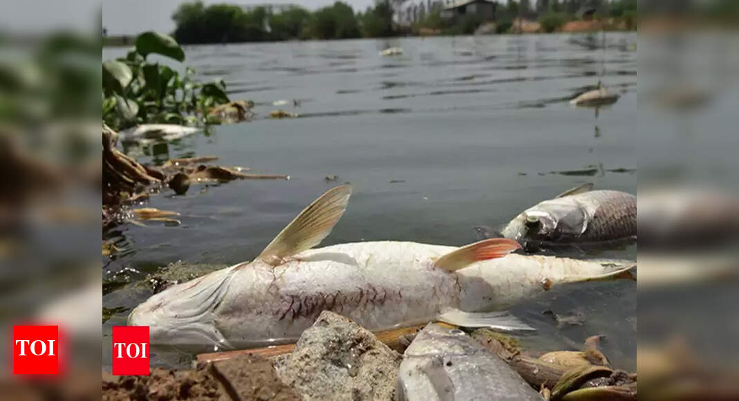 Fishing community left in lurch | Trichy News - Times of India