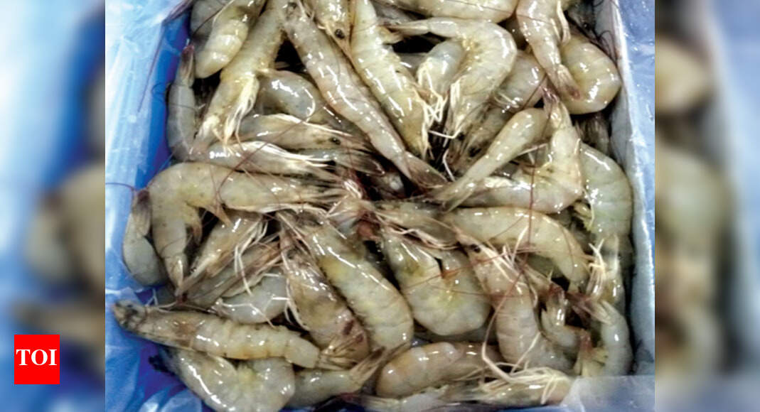 Fish graces South Goa plates once again | Goa News - Times of India