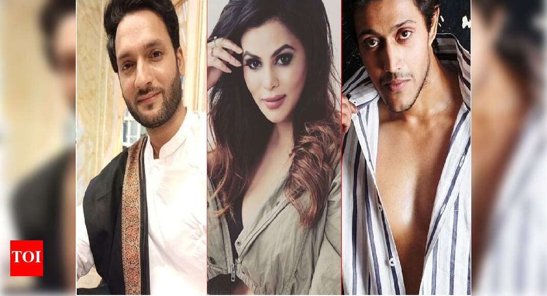 Ankur Panchal, Deepali Saini, Gaurav Roopdas join 'Crime Alert' - Times ...