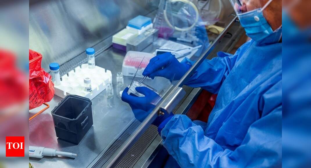 Vaccine created in US works on mice. Will it on humans? - Times of India