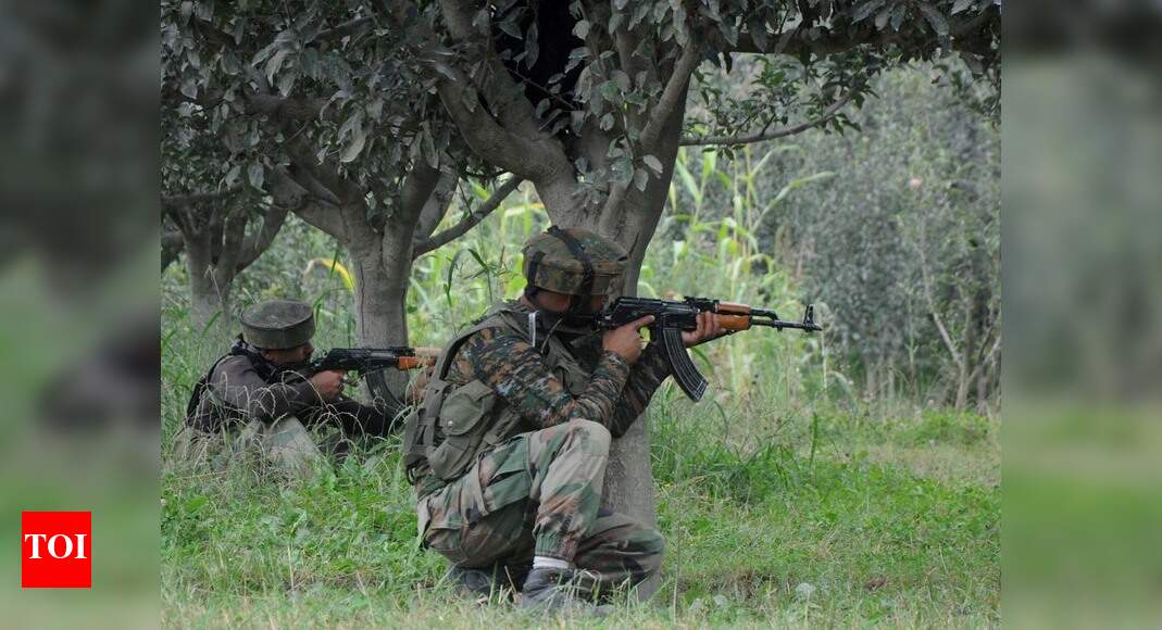 4 terrorists killed by security forces in J&K's Kulgam | India News - Times of India