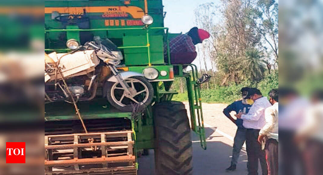 Harvesting from April 14 in Haryana, farmers to delay wheat reaping ...