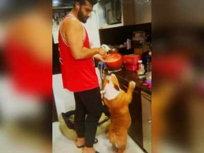 Arjun Kapoor's dog Maximus dancing while the actor tries his hand at ...