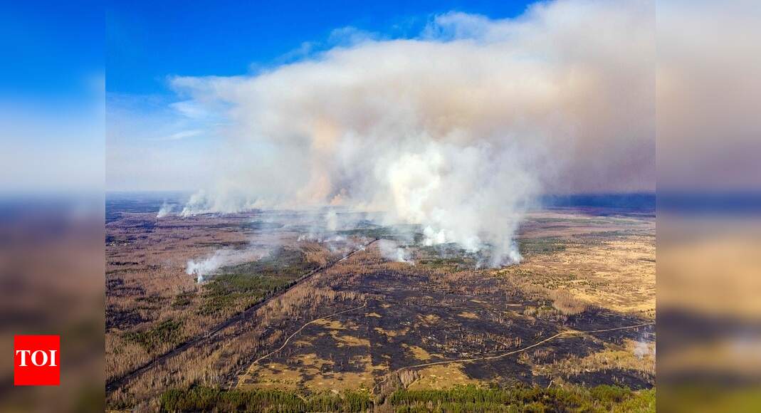Fire in Chernobyl: Forest fires rage near Chernobyl nuclear plant ...