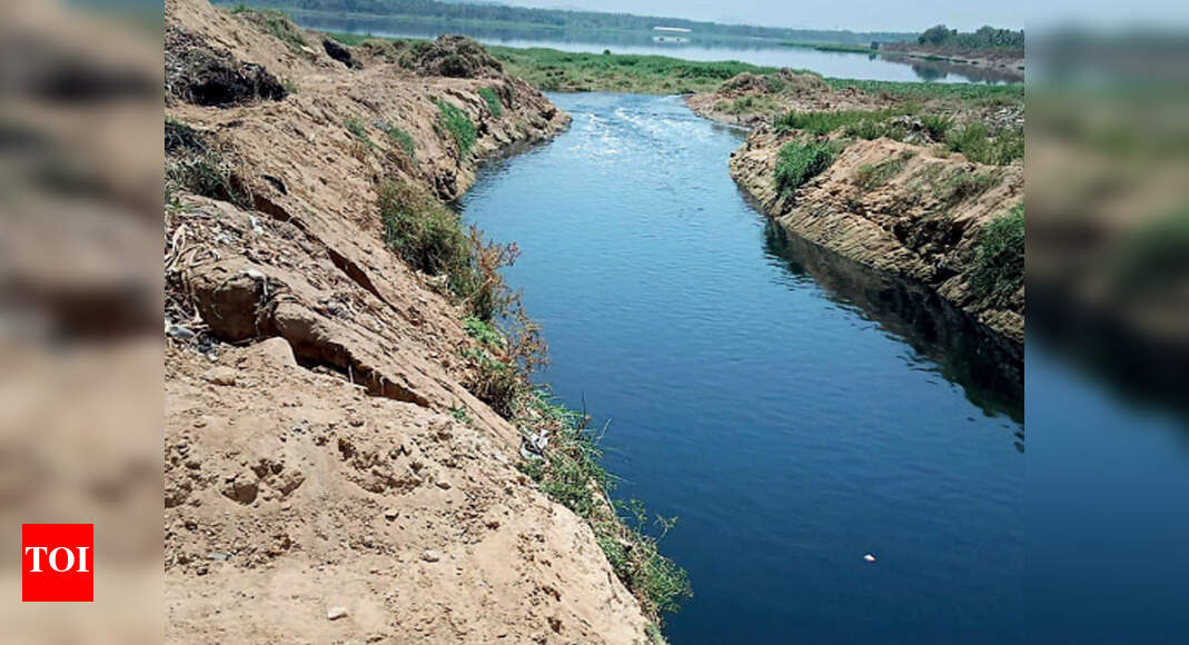 Karnataka: Frothing reduces, Vrishabhavathi water crystal clear after ...