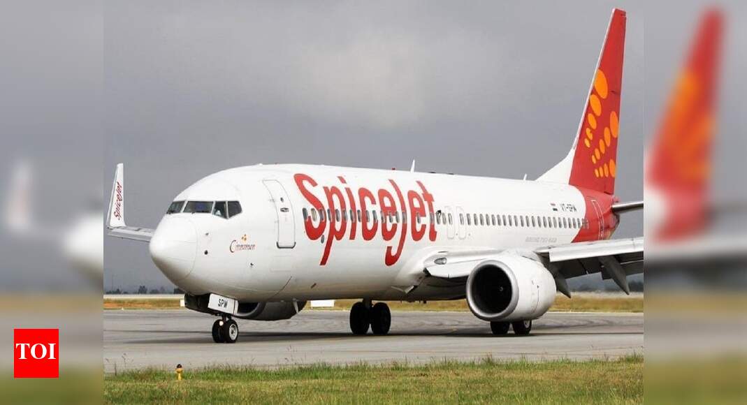 SpiceJet operates first freighter flight to China to bring medical ...