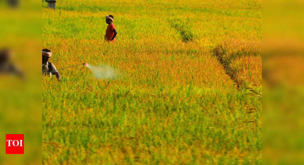 Goa: Focus on health workers, agriculture operations at review meet ...
