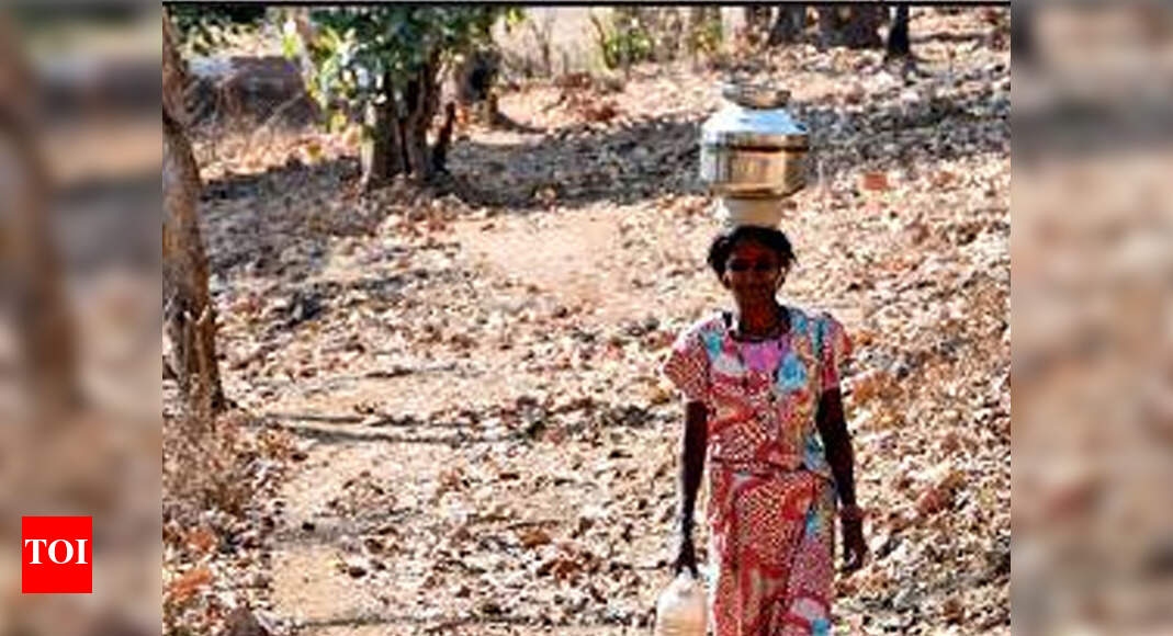 Dang stays Covid-free, 179 in home quarantine | Surat News - Times of India