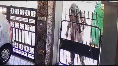 ‘Gate-toucher’ man’s vid goes viral, many spend day sanitising homes in ...