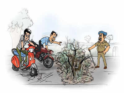 Gujarat: Gando baval reins in mad rush to Amreli | Rajkot News - Times ...