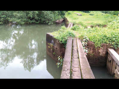 Goa: Restoration of khazans mooted for economic revival | Goa News ...