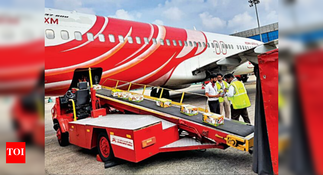Air India Express begins cargo operations | Kochi News - Times of India