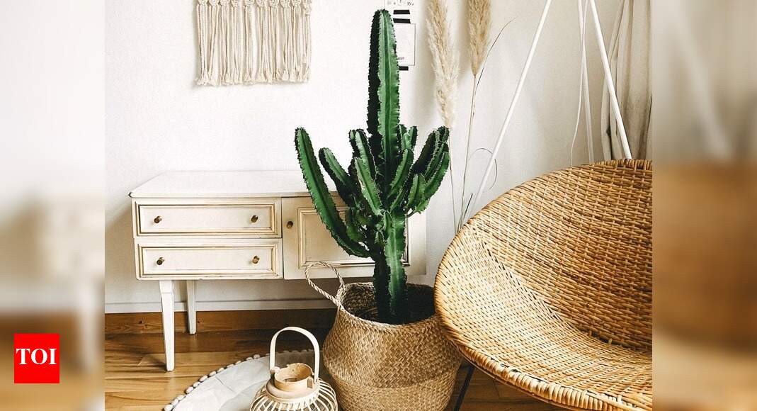 Upbeat decor settings that will make you feel cheerful - Times of India