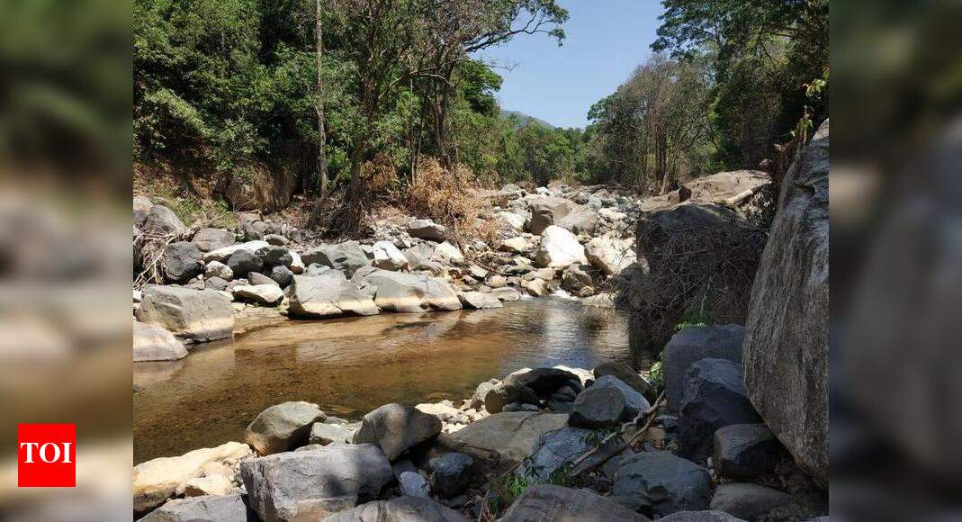 Nethravathi, her tributaries flow rich and pure this summer | Mangaluru ...