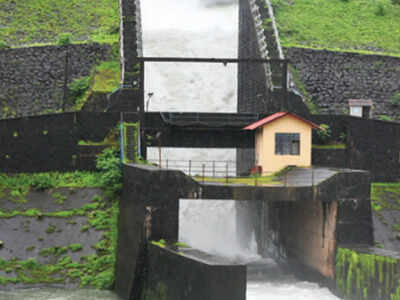 Goa: Water levels in Selaulim, Anjunem higher than last year | Goa News ...