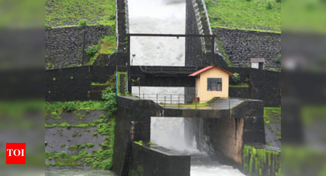 Goa: Water levels in Selaulim, Anjunem higher than last year | Goa News ...