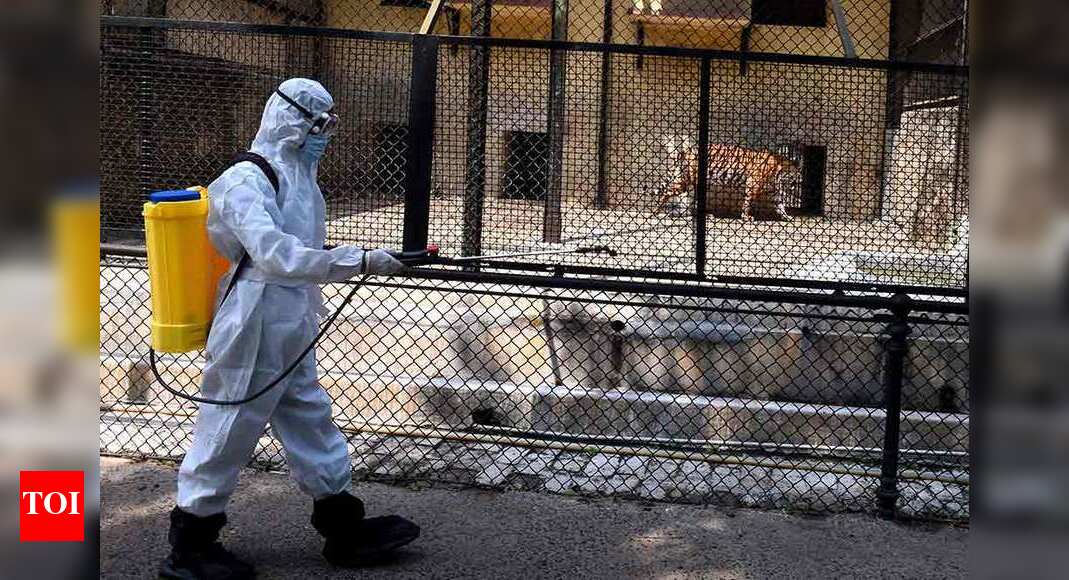 Zoo inmates are being regularly checked for Corona | Kolkata News ...