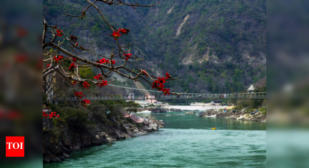 Rishikesh colony declared containment zone | Dehradun News - Times of India