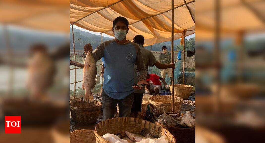 Locals make a beeline to the Curtorim fresh water fish harvest | Events ...