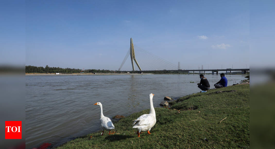 Lockdown improves water quality of Ganga, Yamuna | India News - The ...