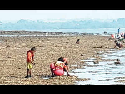 Goa: ‘Poor resorting to unsafe, unsustainable fishing’ | Goa News ...