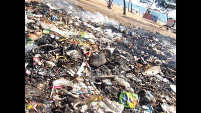 With tourism halted, Goa’s garbage output down to 40 per cent | Goa ...