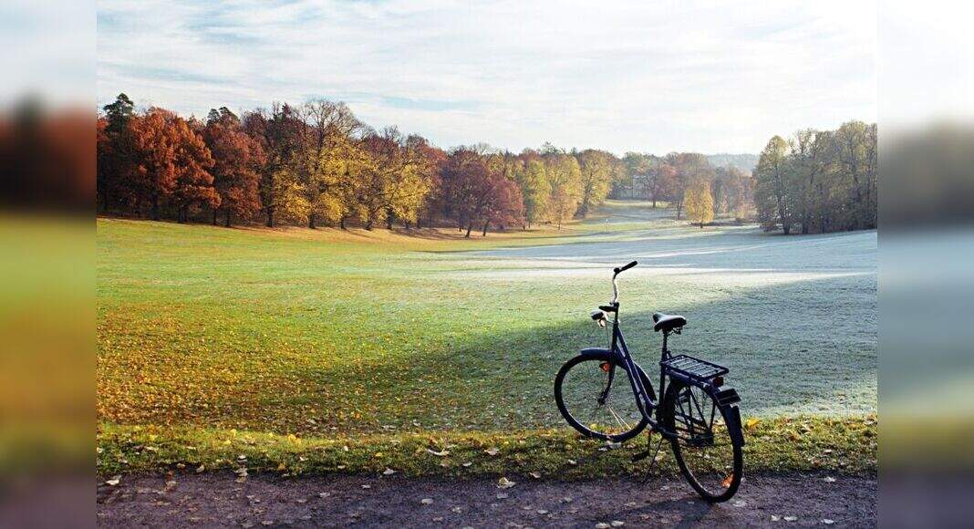 Swedish city dumps ‘chicken poop’ in park to discourage people from ...