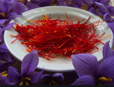 Kashmir saffron gets GI tag | India News - Times of India