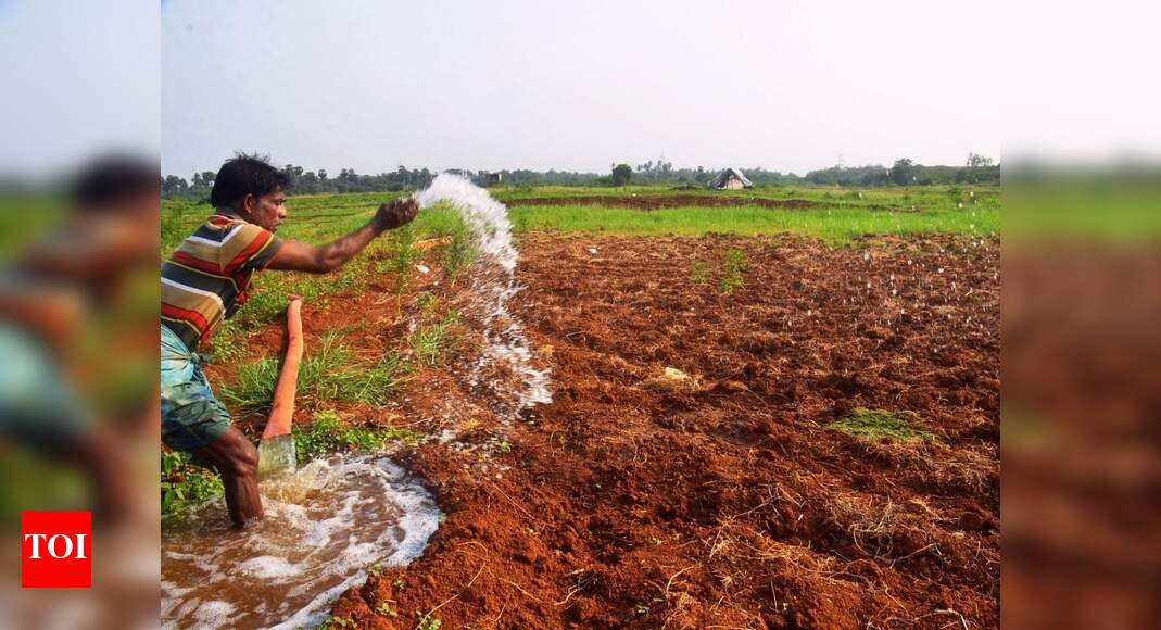 Parliamentary panel flags inefficient fiscal management of centrally ...