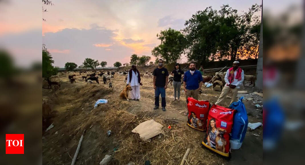 Pune: RESQ, Grasslands Trust provide food to workers and animals in ...