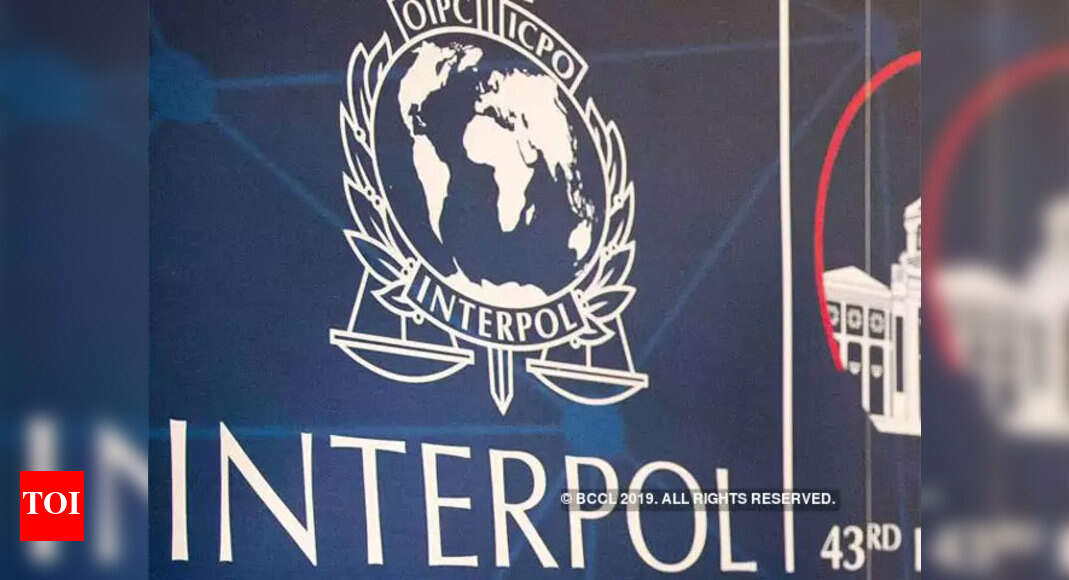 Interpol has launched a digital learning platform to support police ...