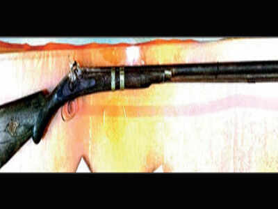 Team formed to analyse pattern of poaching with unlicensed weapon in ...