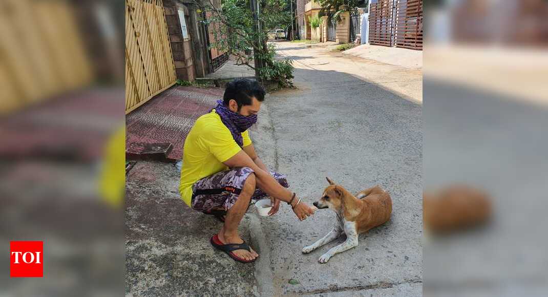 Chandan Kar cares for stray animals | Events Movie News - Times of India