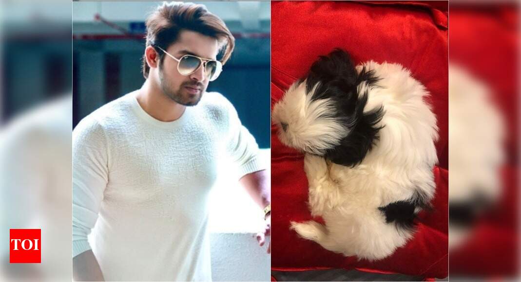 Here’s how excited is Actor Kiran Raj about welcoming a new member to ...