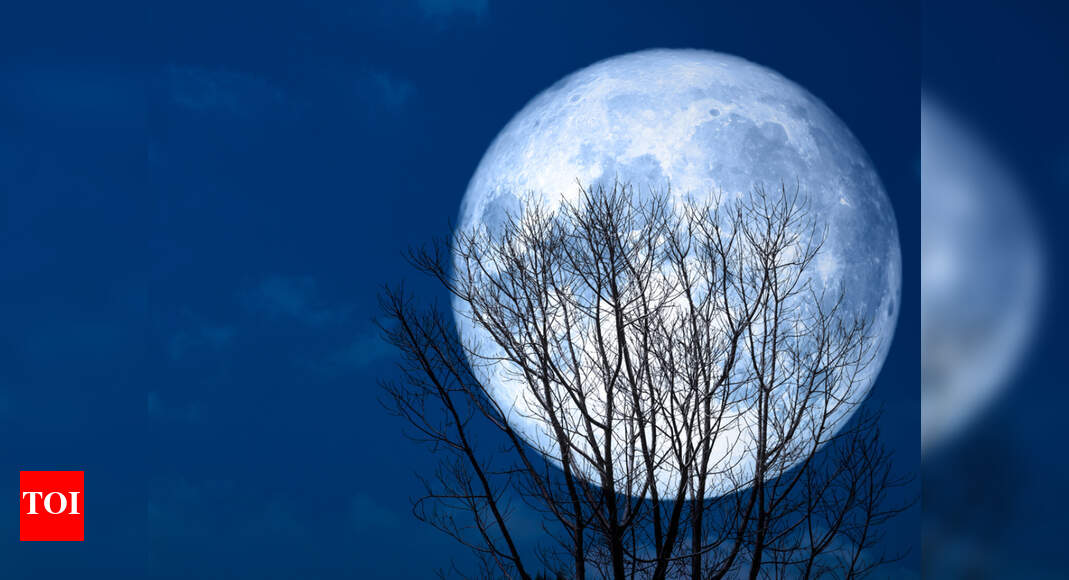 Super Flower Moon 2020 Photos & How to watch livestream online: All you ...