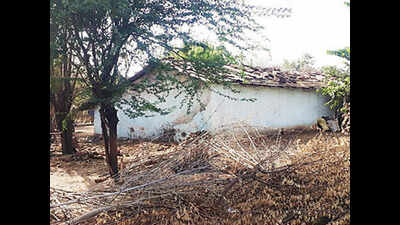 Social distancing part of tribal culture in south Rajasthan | Udaipur ...