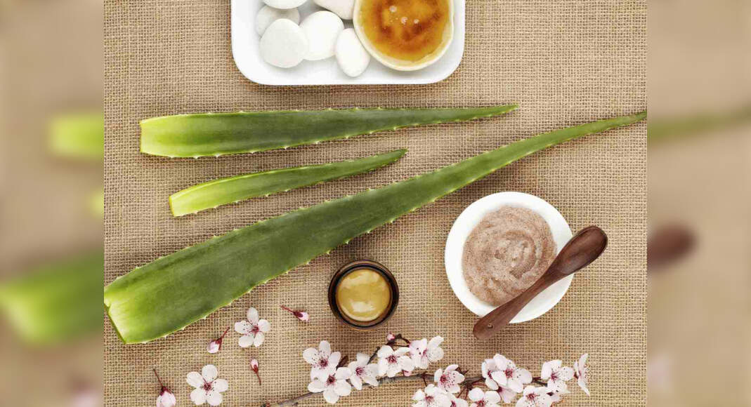 Best Natural Ingredients For Acne Issues - Misskyra.com