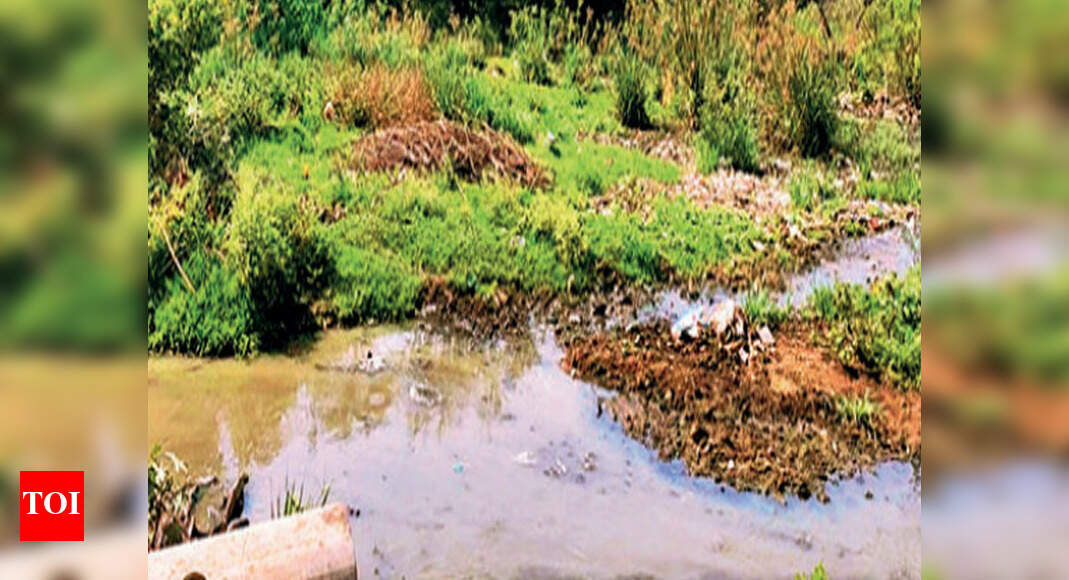 Telangana: Hopes rise for Trimulgherry lake rejuvenation | Hyderabad ...