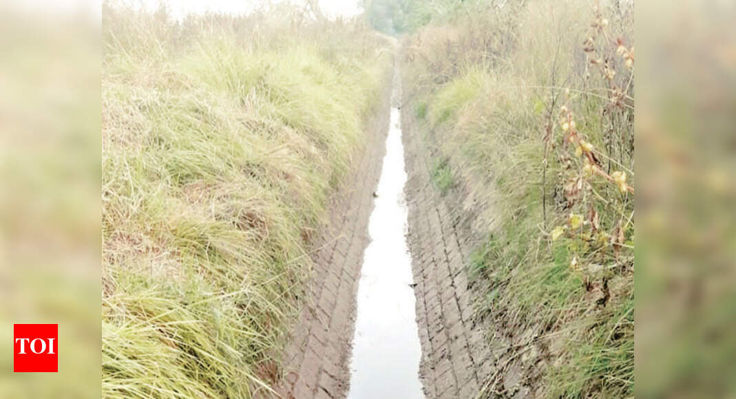 Punjab: Put on sale over water woes, Mansa village parched again ...